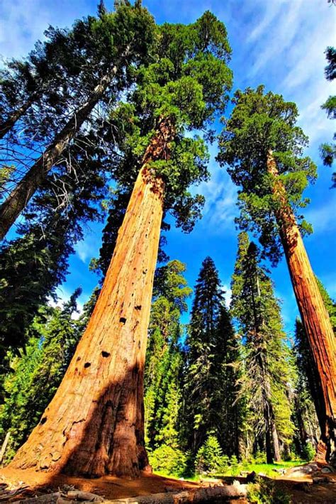 The Ultimate National Parks Road Trip Trip Memos