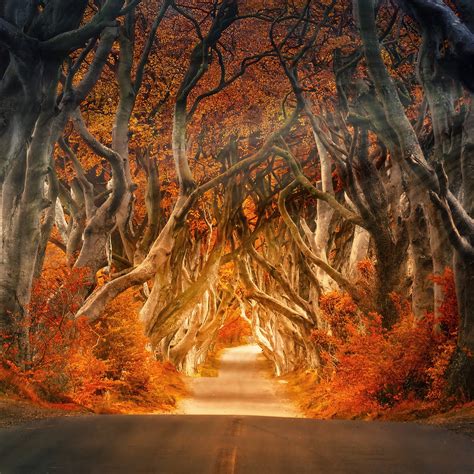 Aesthetic Fall Ipad Wallpapers Wallpaper Cave