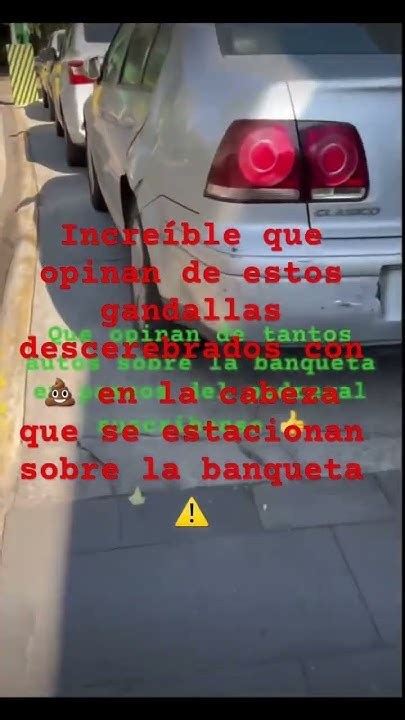 Increíble Que Opinan De Estos Gandallas Que Se Creen Los Dueños De La