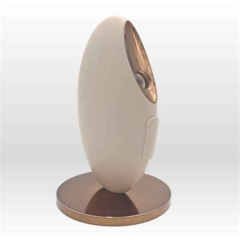 Pebble Portable Personal Beauty Diffuser Always This Good