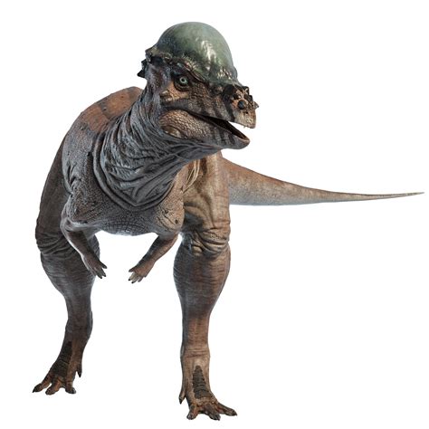 Pachycephalosaurus Facts App