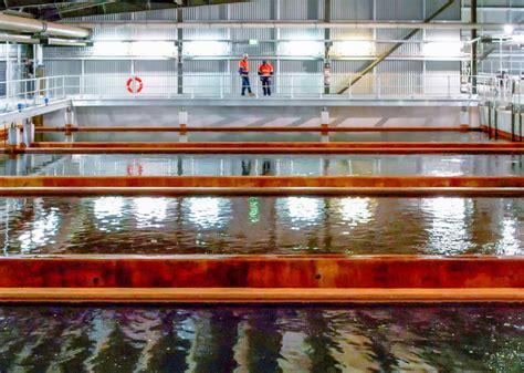 How Desalination Works Sydney Desalination Plant