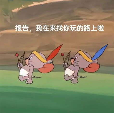 猫和老鼠表情包 知乎