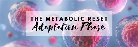 Adaptation Week 1 Ofm Learning Centre