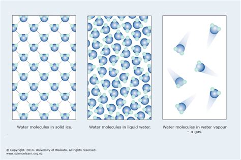 The Water Cycle Learnz