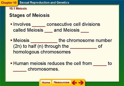 Meiosis Sexual Reproduction 10 1 State Standard 2