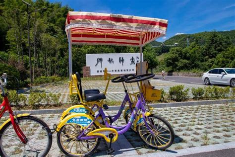 最后一抹秋色，11月份不容错过的宁波毛岙美景！ 搜狐大视野 搜狐新闻