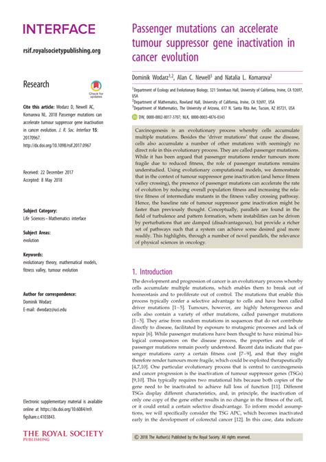 Passenger Mutations Can Accelerate Tumour Suppressor Gene Inactivation