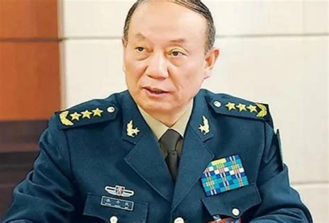 张又侠事件的「权斗斩杀线」 翻吧中國網