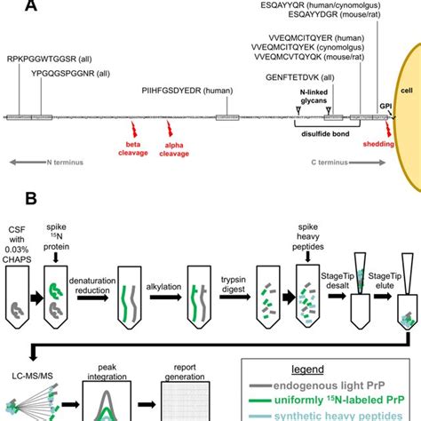Figure S3 Sequence Coverage Map Map Of Sequence Coverage Of Prp In