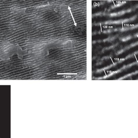 2 Setup For The Electrophoretic Deposition Epd Of Nanoparticles On