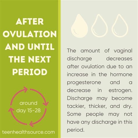 Vaginal Discharge Teen Health Source