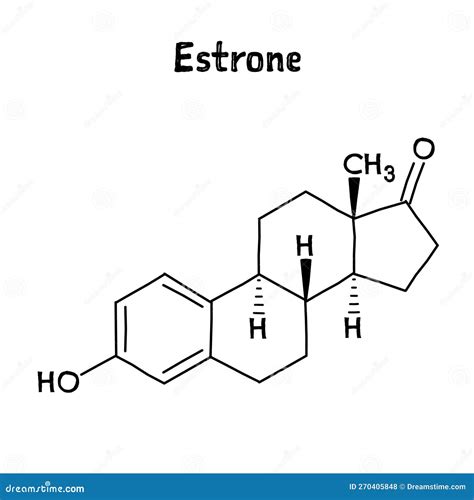 Estrone Structural Formula Of Molecular Structure Stock Illustration