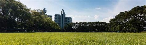 如何辨别保健食品的宣传是否存在夸大和虚假的情形？ 知乎