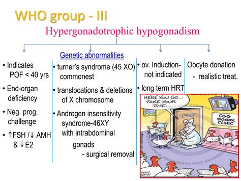 Algorithms For Ovulation Induction Protocols Assisted Reproductive