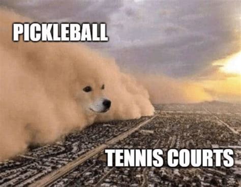 Dinking Your Way To Laughter 37 Hilarious Pickleball Memes You Need To See