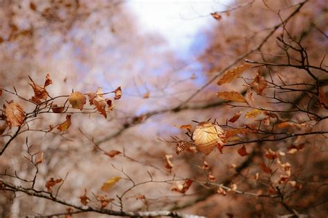 Techonology Background Photos Download The Best Free Techonology