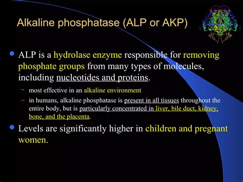 Liver Function Tests Ppt