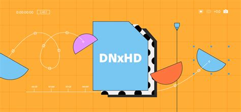 Discover Dnxhd Files What Is The Dnxhd Format Adobe