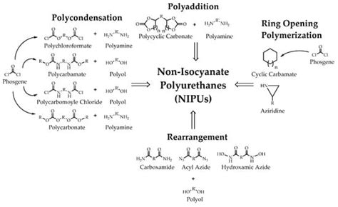 Tailor Made Bio Based Non Isocyanate Polyurethanes Nipus