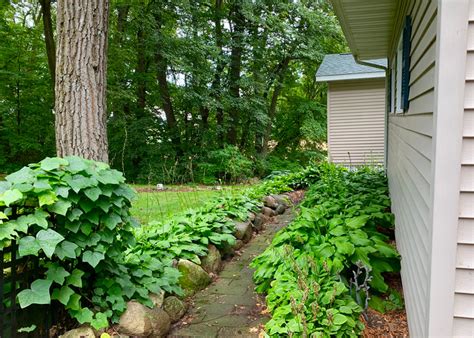 Cuz Were Cuzzins Karenmussernortman