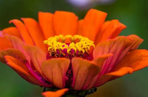 【excel】stdevs関数の使い方