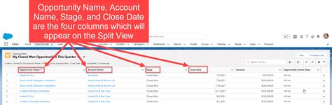 How To Use Split View In Salesforce Forcemedic Design