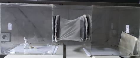 Maryam Molaee On Linkedin Cockroach