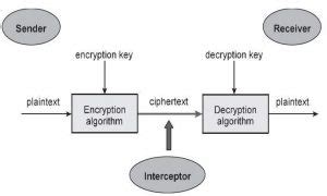 Network Security Using Cryptography Everything You Need To Know
