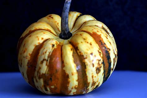 Pumpkin Squash Vegetable Free Photo On Pixabay