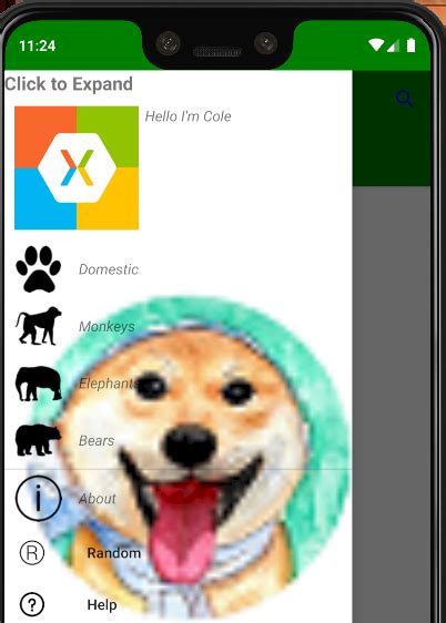 Is It Possible To Use Expander In Shell Flyout Microsoft Qanda