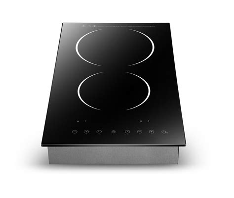 110 220v Household Commercial Induction Pressure Cooker Electric