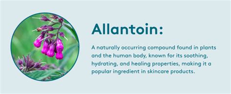 What Is Allantoin And What Are The Benefits For Your Skin Colorescience