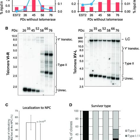 Delocalization Of The Sumo Protease Ulp1 From Npcs Prevents