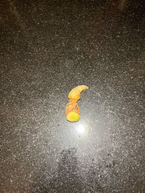 How Do I Plant This Knob Of Ginger Looks Like It Has A Root R