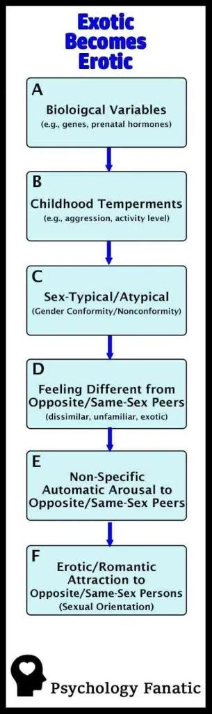 The Fascination Of Exotic Becomes Erotic Theory Insights Into Sexual