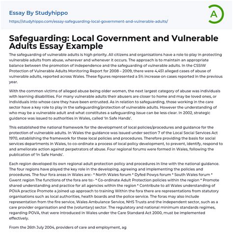 Safeguarding Local Government And Vulnerable Adults Essay Example