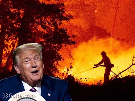 Wildfires Occur As ‘trees Just Explode Trump