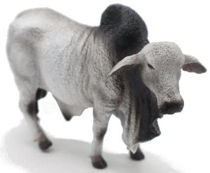 Collecta Red Brahman Cow 88600 Oversized Back Hump