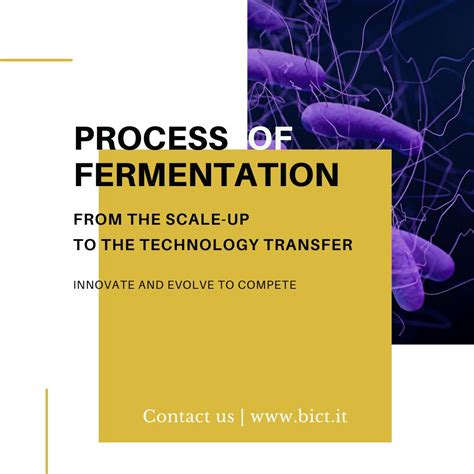 Biotechnology Fermentationprocess Improveyourbusiness Processdevelopment Bict Bict Srl
