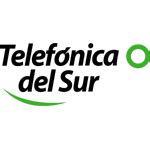 Telsur Chile Details