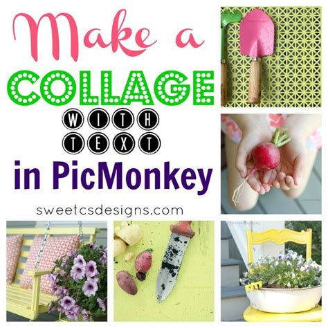 Picmonkey Tutorials Tips And Projects Picmonkey Tutorial Picmonkey Canva Tutorial