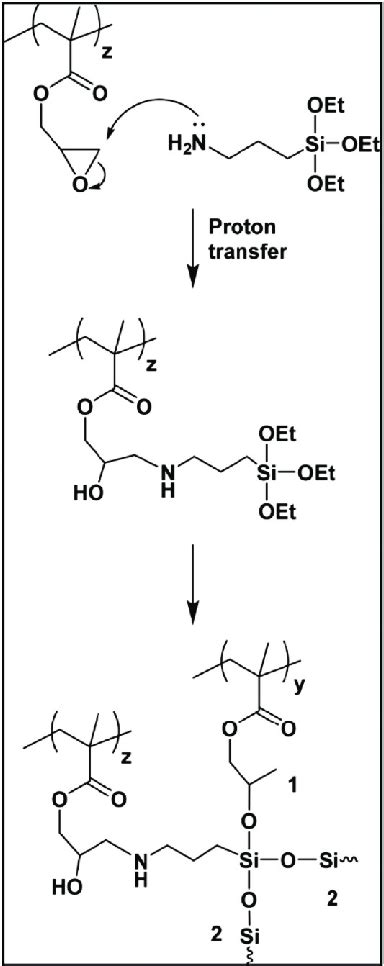 Scheme Of I Epoxy Ring Opening By The Primary Amine Of Aptes And Ii Download Scientific