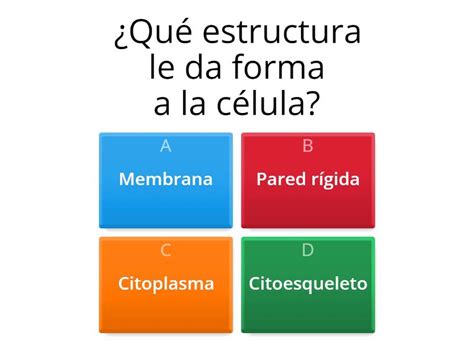 Estructura Y Funciones Celulares Quiz
