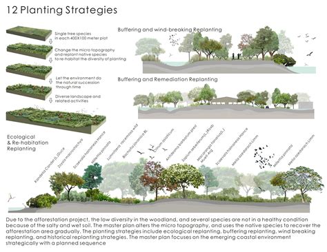 Aogu Wetland Forest Park Master Plan Landscape Diagram Landscape