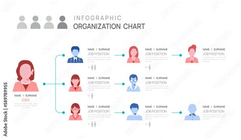 Infographic Template For Organization Chart With Business Avatar Icons Vector Infographic For
