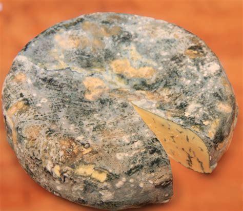 Blue Cheese Mold