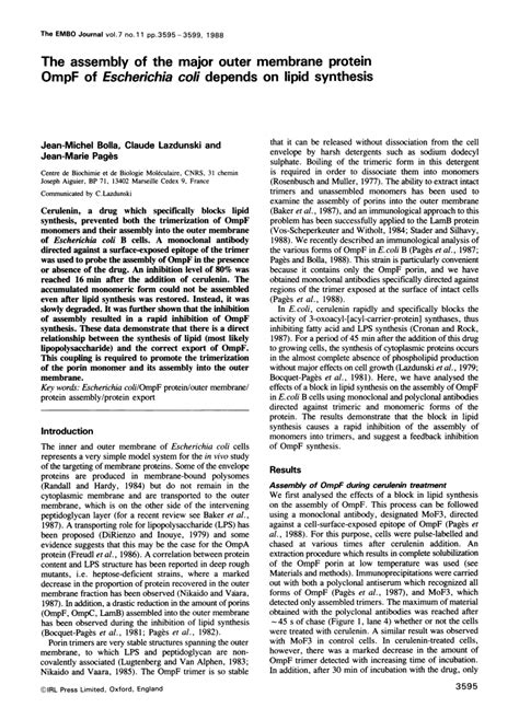 Pdf The Assembly Of The Major Outer Membrane Protein Ompf Of Escherichia Coli Depends On Lipid