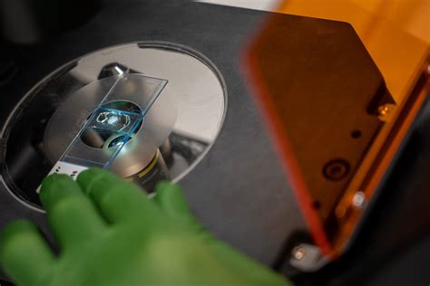 10 Usc Stem Cell Doctoral Students And Recent Graduates Earn Nih