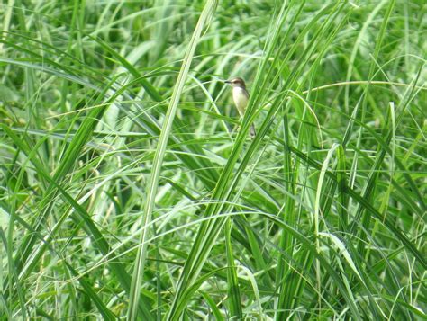 Img 9361copy Danielle Deeter Flickr